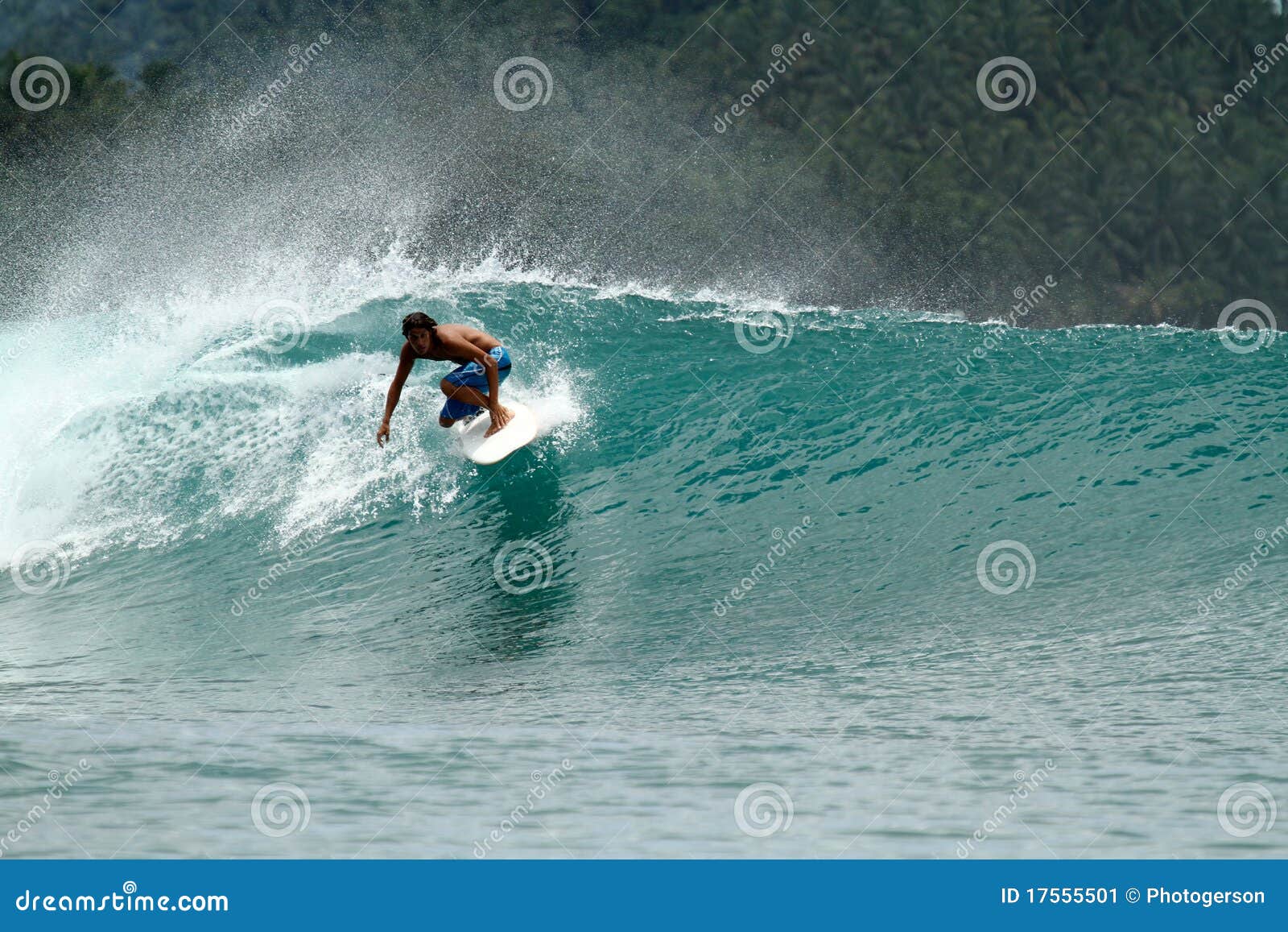 Speed Surfer on Tropical Green Wave Stock Image - Image of risky ...