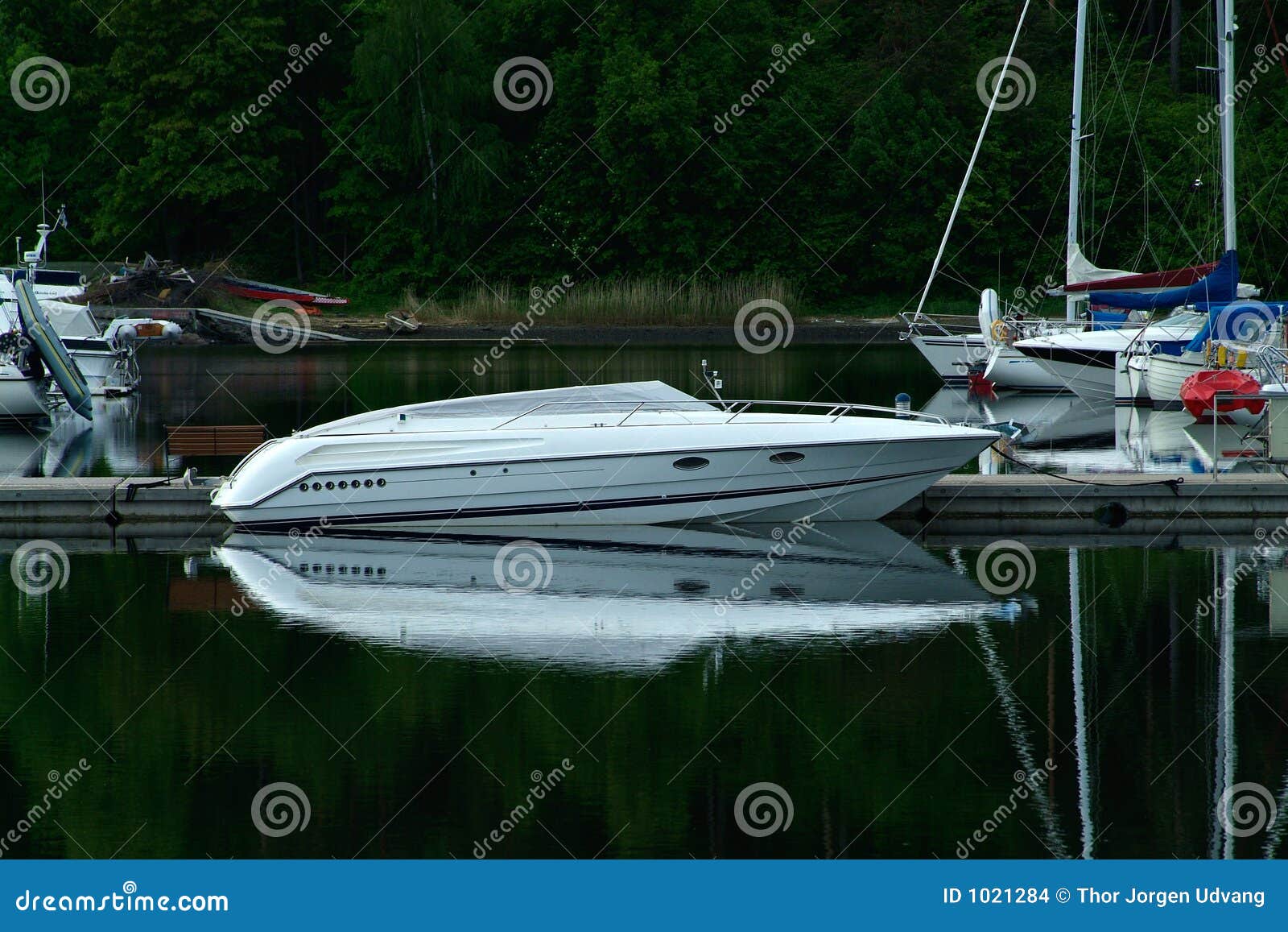 Speedboat stock photo. Image of marine, white, motorboat - 1021284