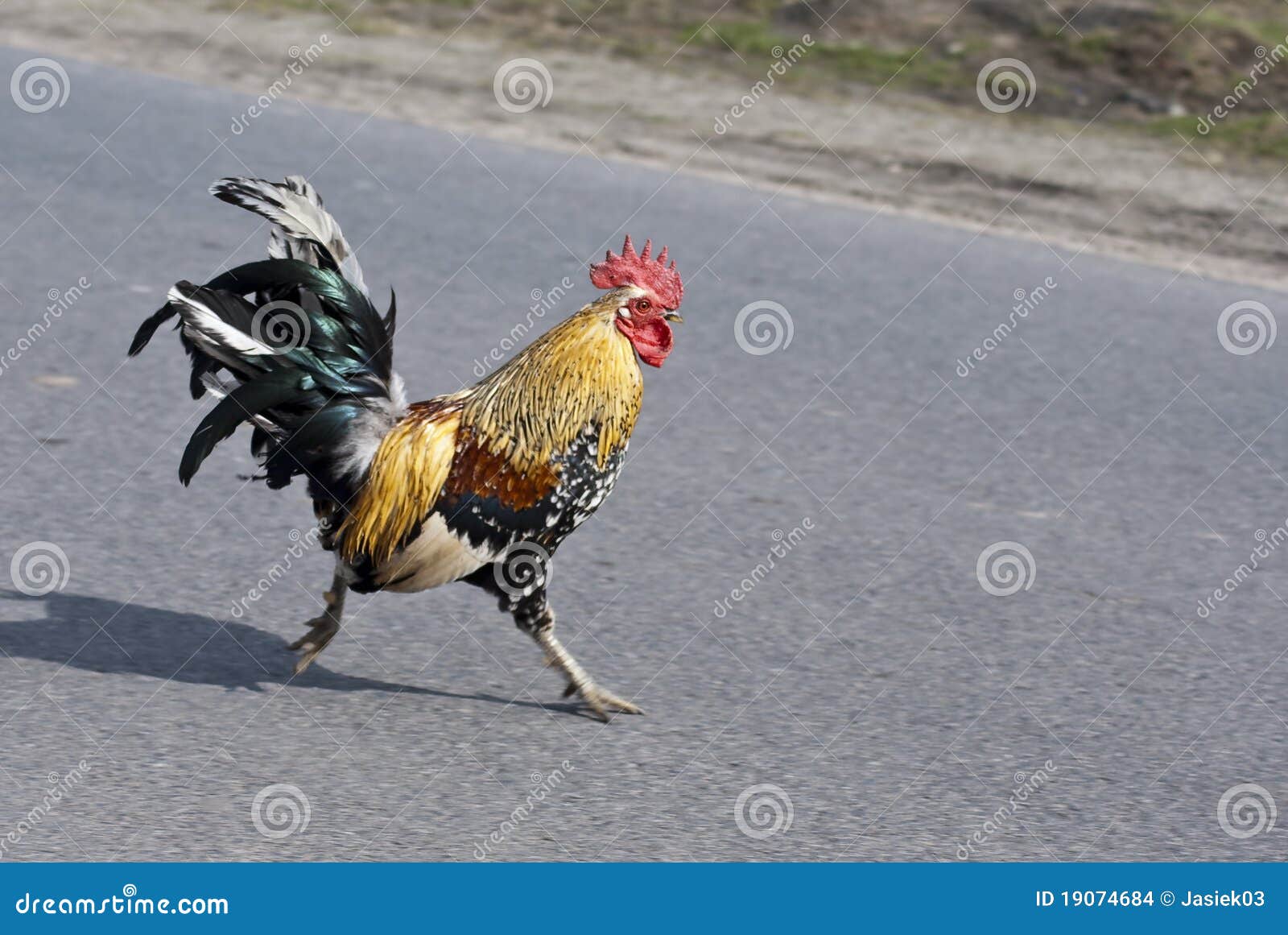Speeding stock photo. Image of agriculture, alarm, country - 19074684
