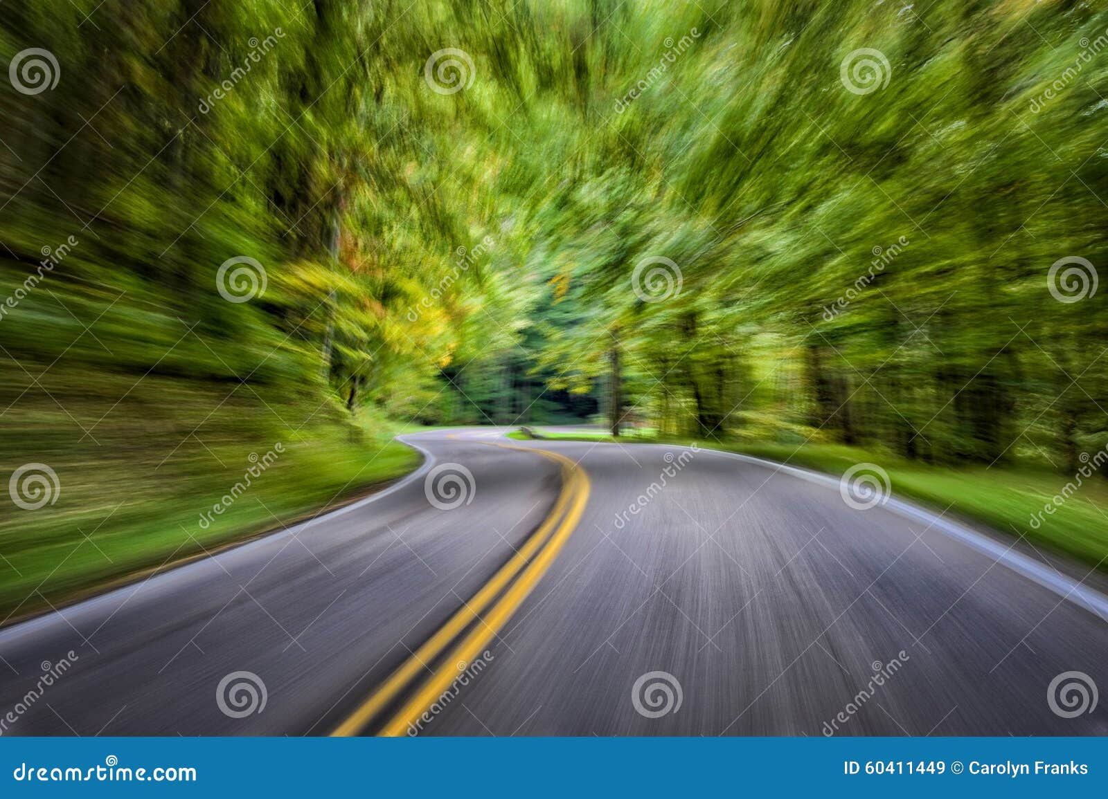Speeding through the Forest Stock Image - Image of national, speed ...