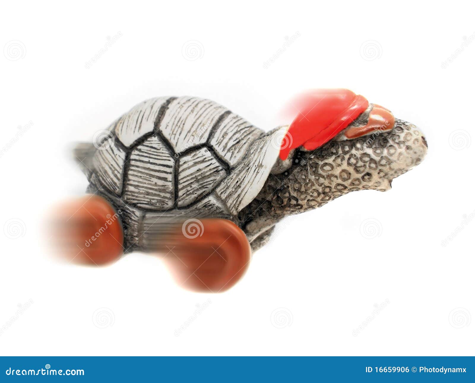 Speedy Cool Tortoise in Cap and Sunglasses Stock Photo - Image of ...