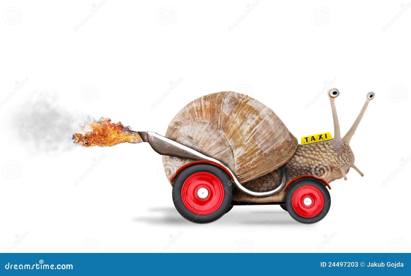 Speedy Snail Stock Photos - Image: 24497203