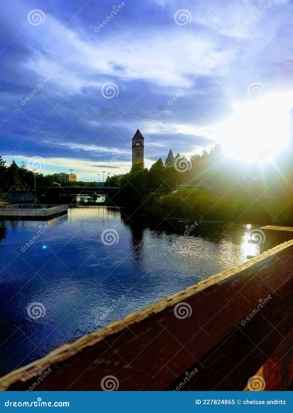 Speiche am Fluss stockbild. Bild von horizont, sonnenuntergang - 227824865