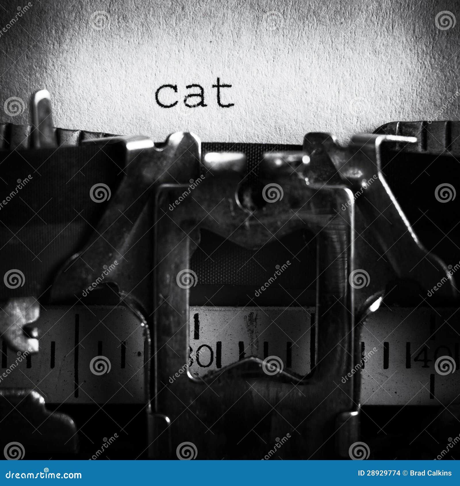 Spelling cat stock photo. Image of text, spelling, vintage - 28929774