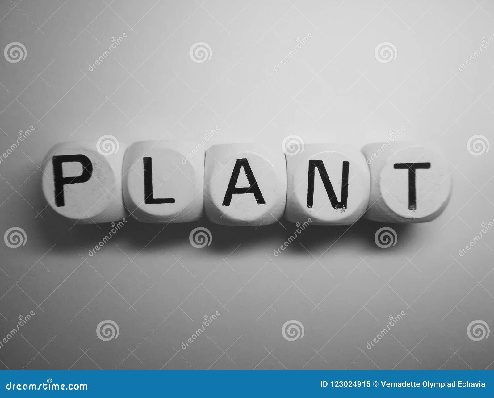 Word plant spelled on dice stock image. Image of wooden - 123024915