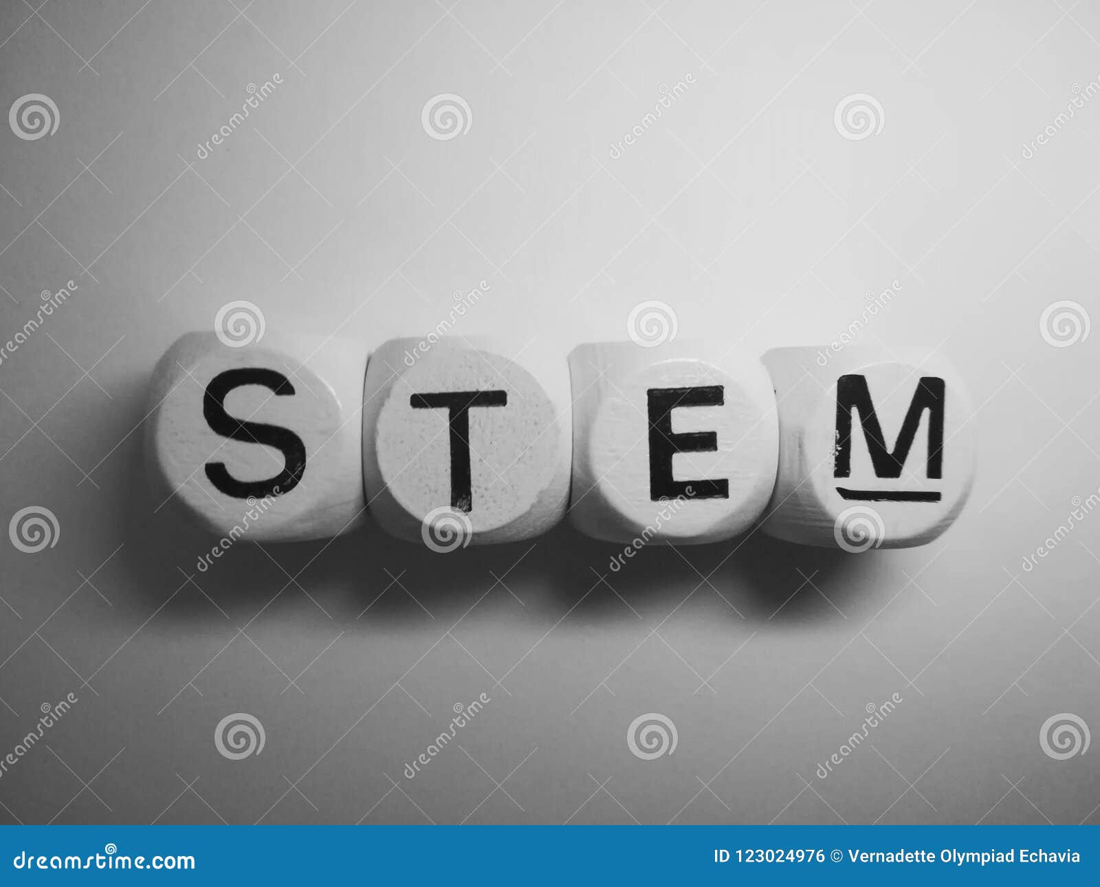 Word stem spelled on dice stock photo. Image of dice - 123024976