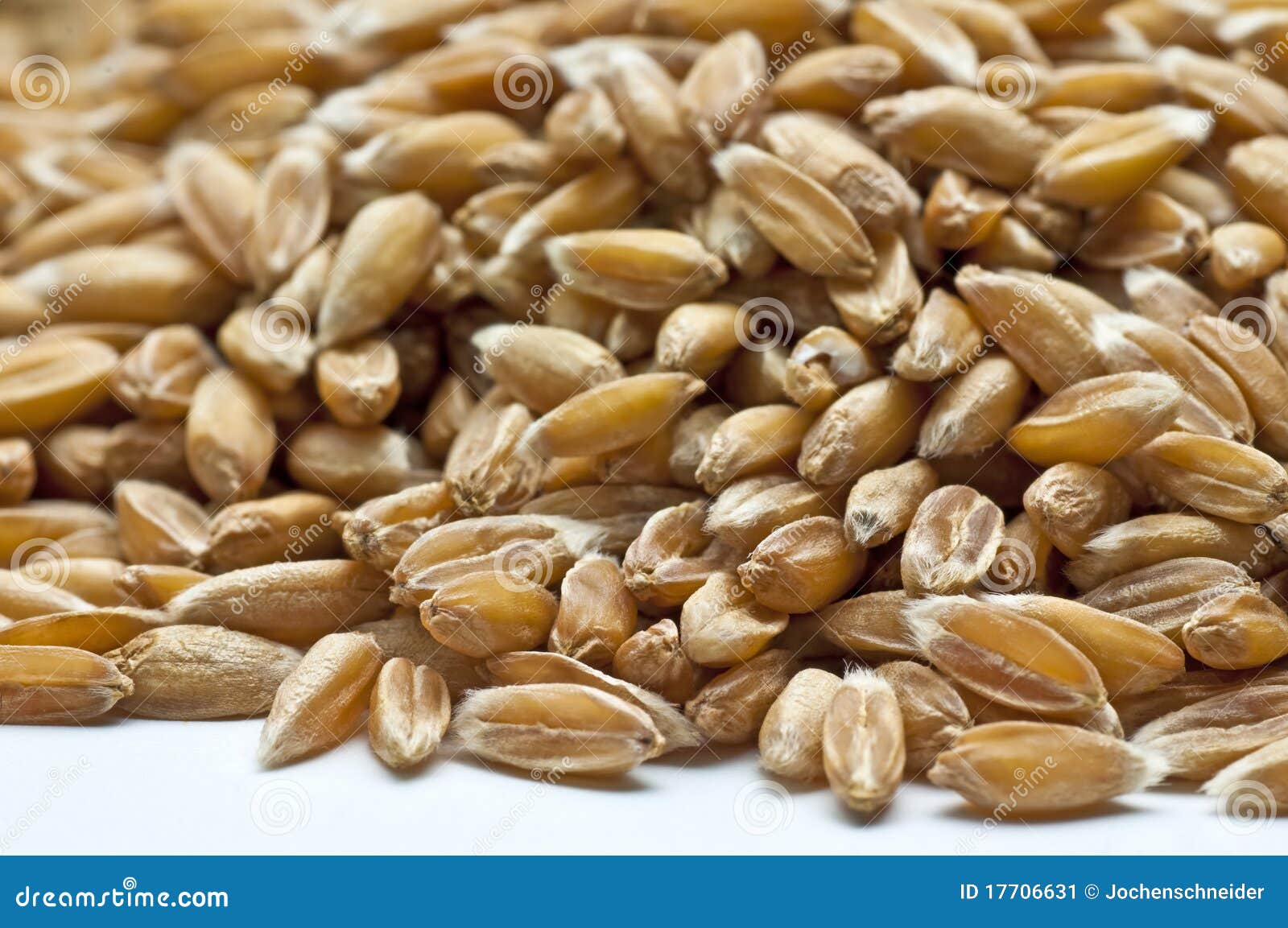 Spelt stock image. Image of baking, drawer, farming, organic - 17706631