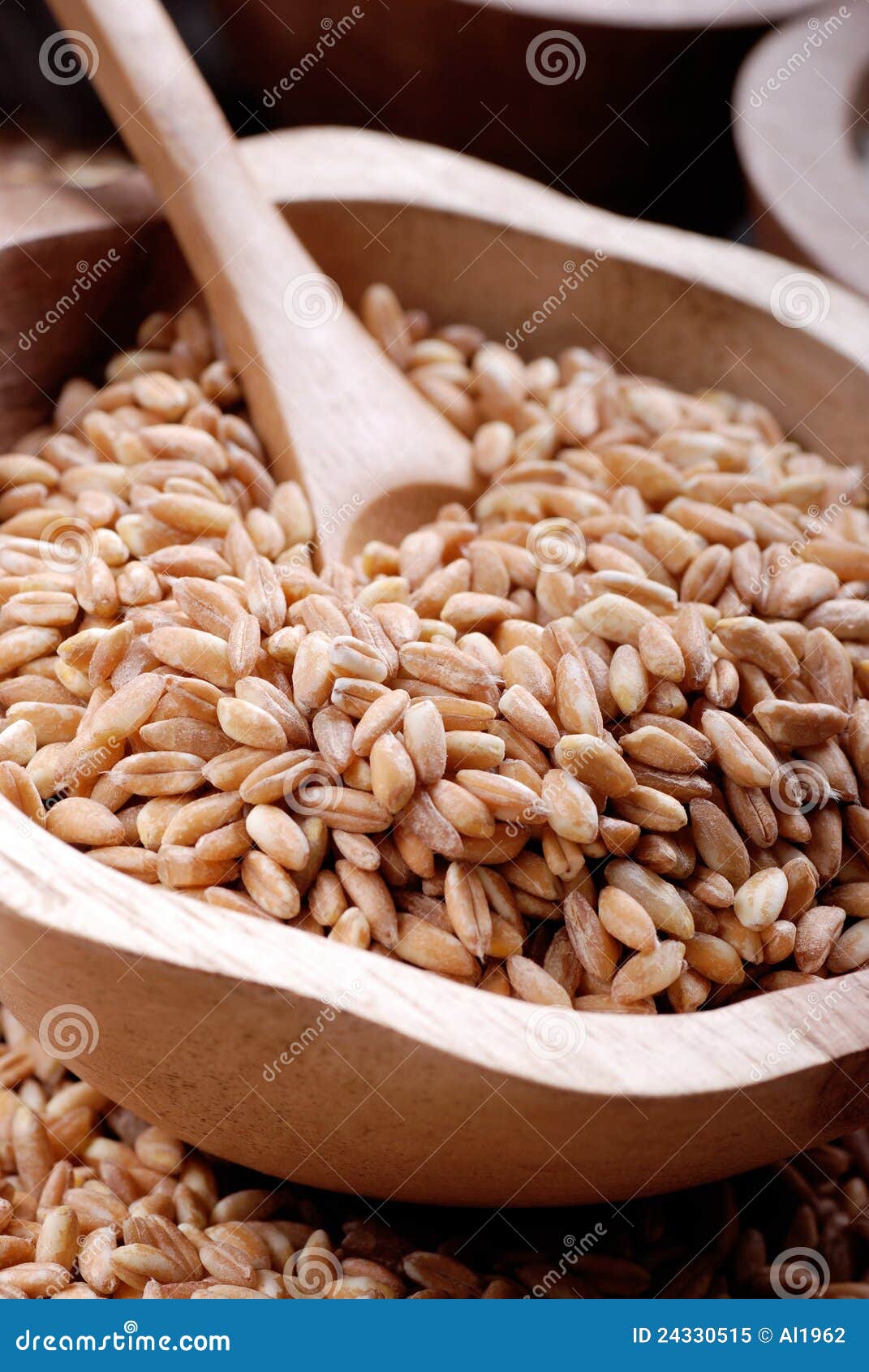 Spelt stock image. Image of flour, spoon, spelt, bowl - 24330515