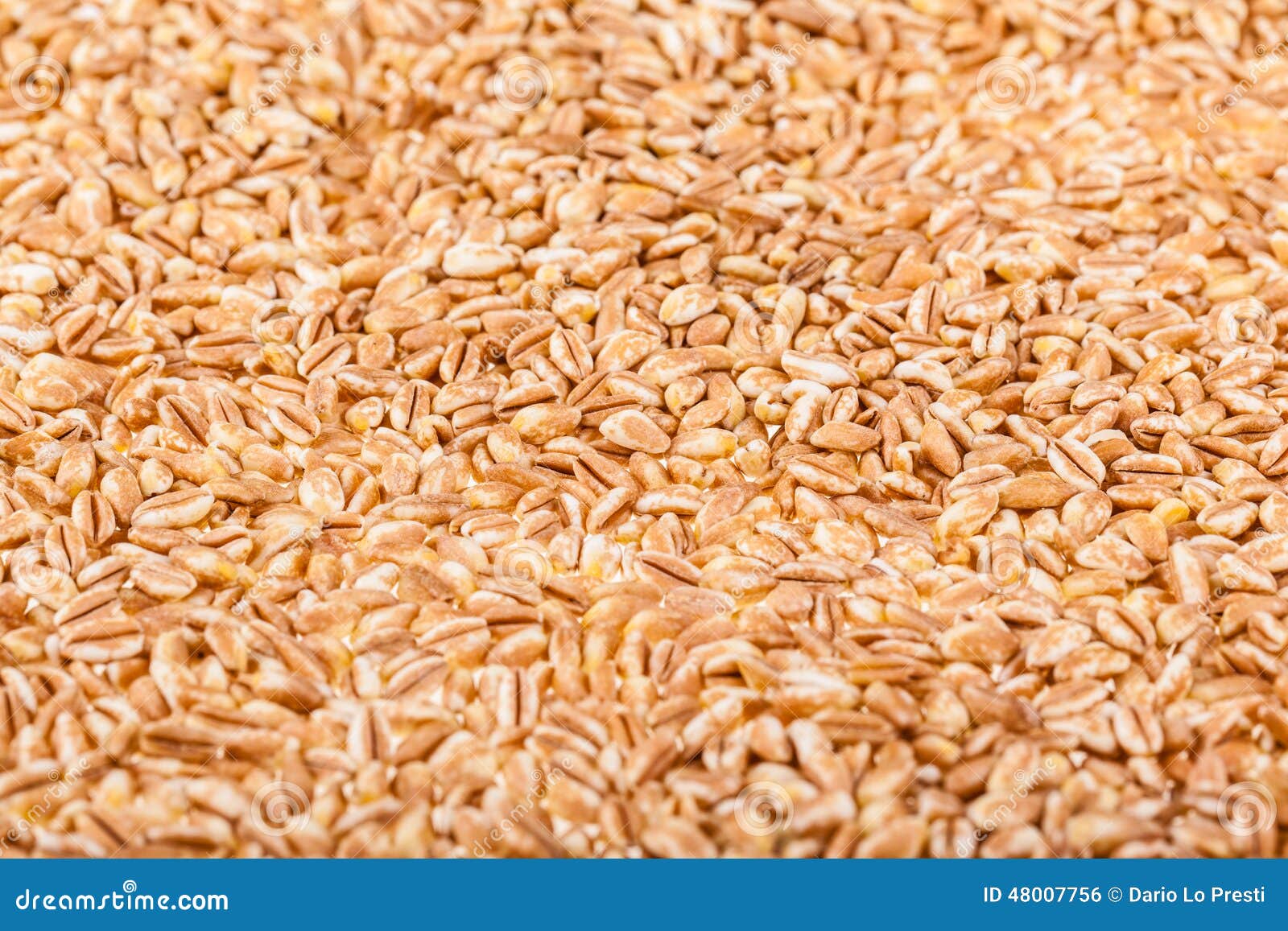 Spelt stock photo. Image of vegetarian, cooking, food - 48007756