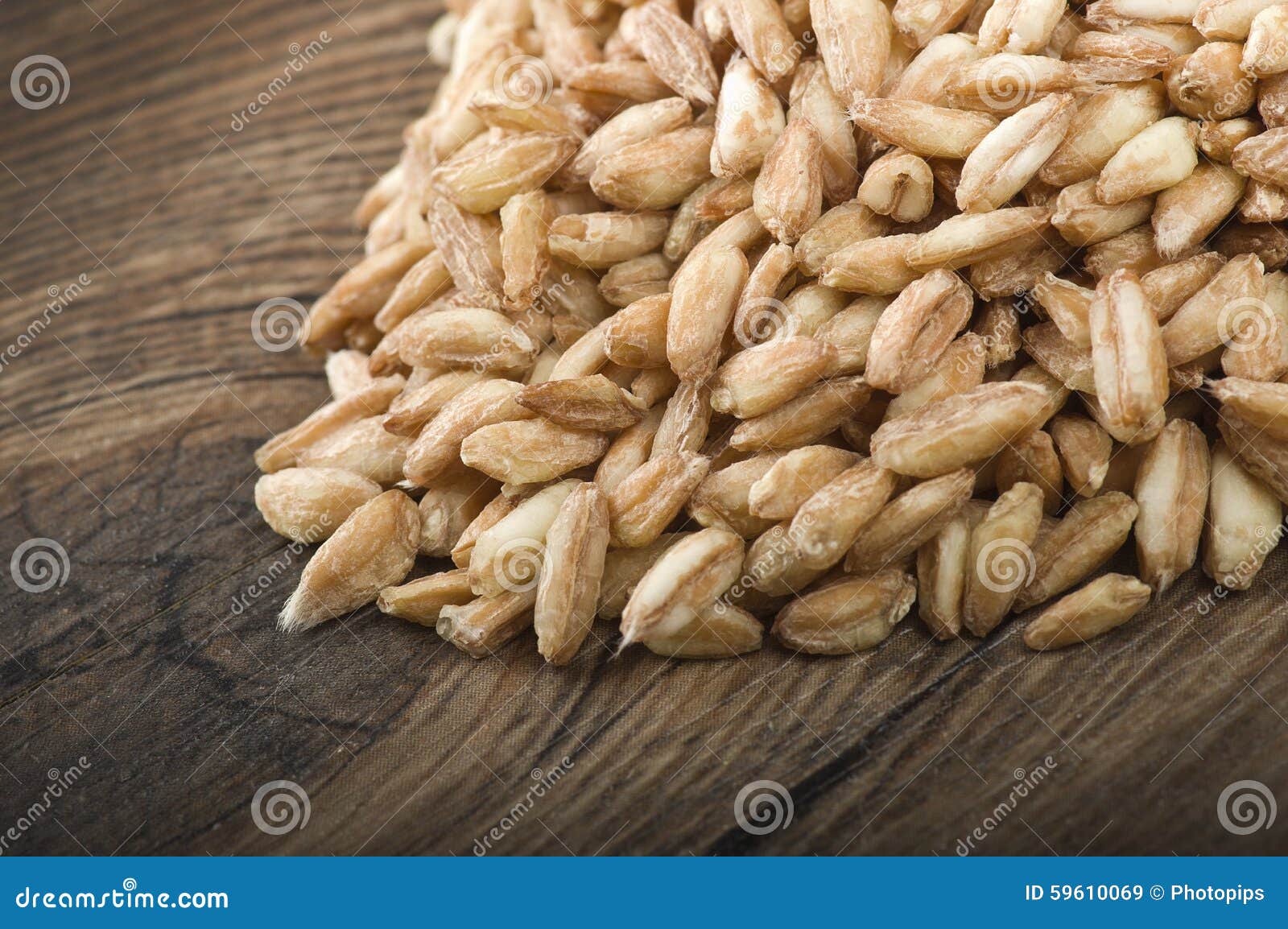 Spelt Grain stock image. Image of group, wheat, dried - 59610069