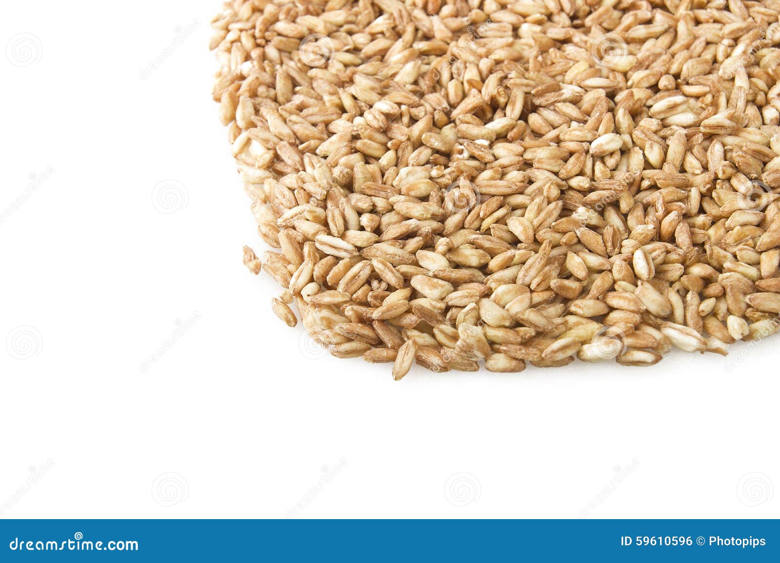 Spelt Grain stock photo. Image of seed, background, vegetarian - 59610596