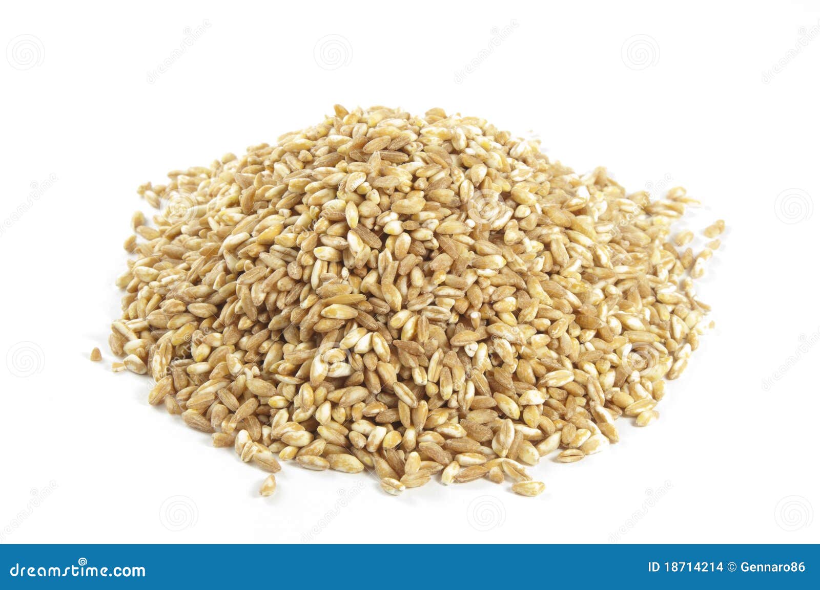 Spelt seeds on white stock photo. Image of uncooked, grains - 18714214