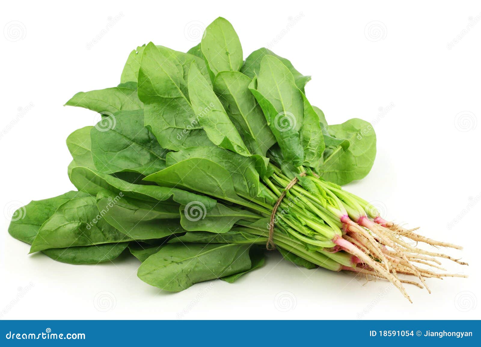 Spenat arkivfoto. Bild av asiatisk, grupp, grönsak, rota - 18591054