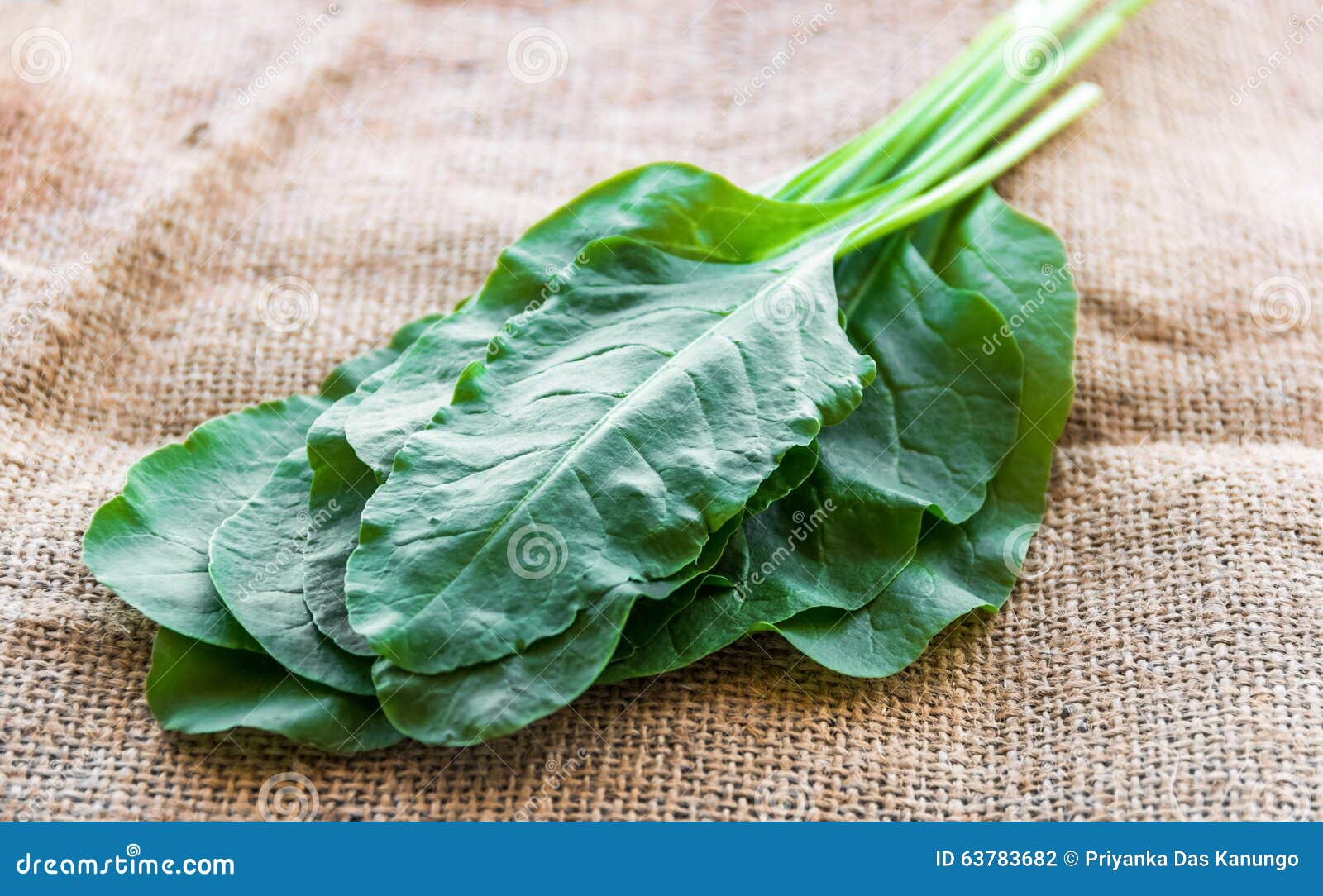 Spenat arkivfoto. Bild av grönsaker, natur, nytt, sunt - 63783682