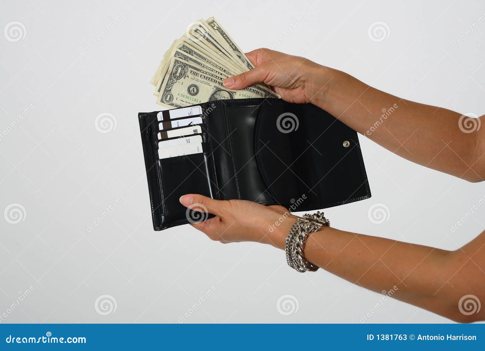 Spending money stock image. Image of women, shopping, purse - 1381763