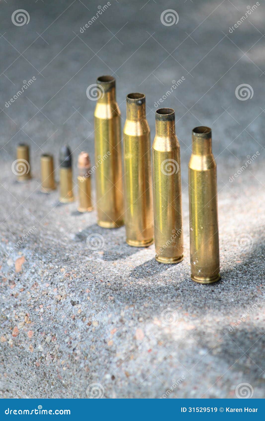 Spent Shells From Small-caliber Bullets. Cartridge Warehouse In A Box ...