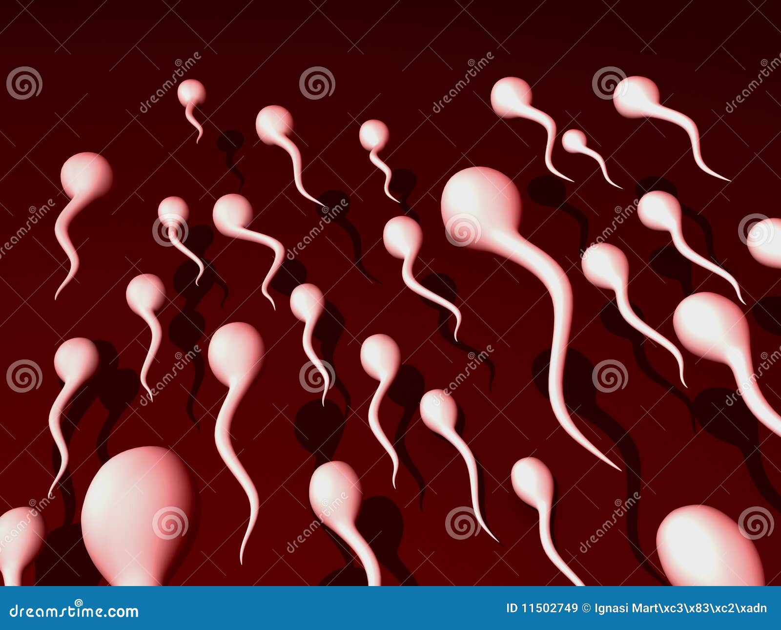 Sperm stock illustration. Illustration of white, biologists - 11502749