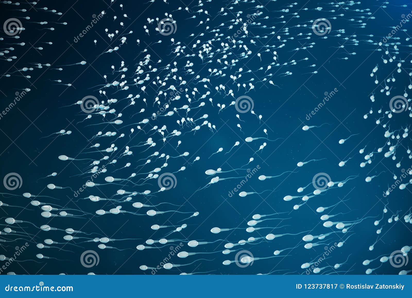 Sperm Approaching Egg Cell, Ovum. Natural Fertilization - Close-up View ...