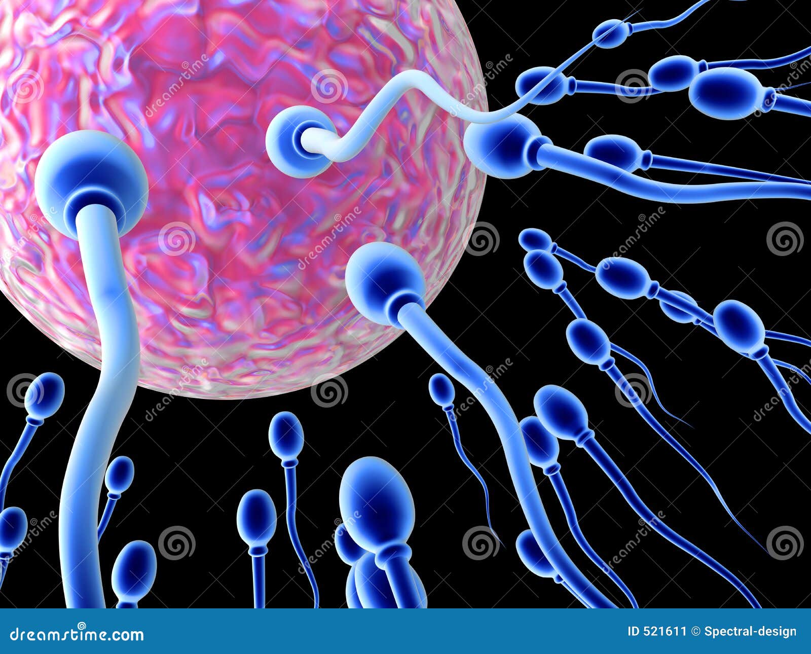 Sperm Attack 2 stock illustration. Illustration of birth - 521611