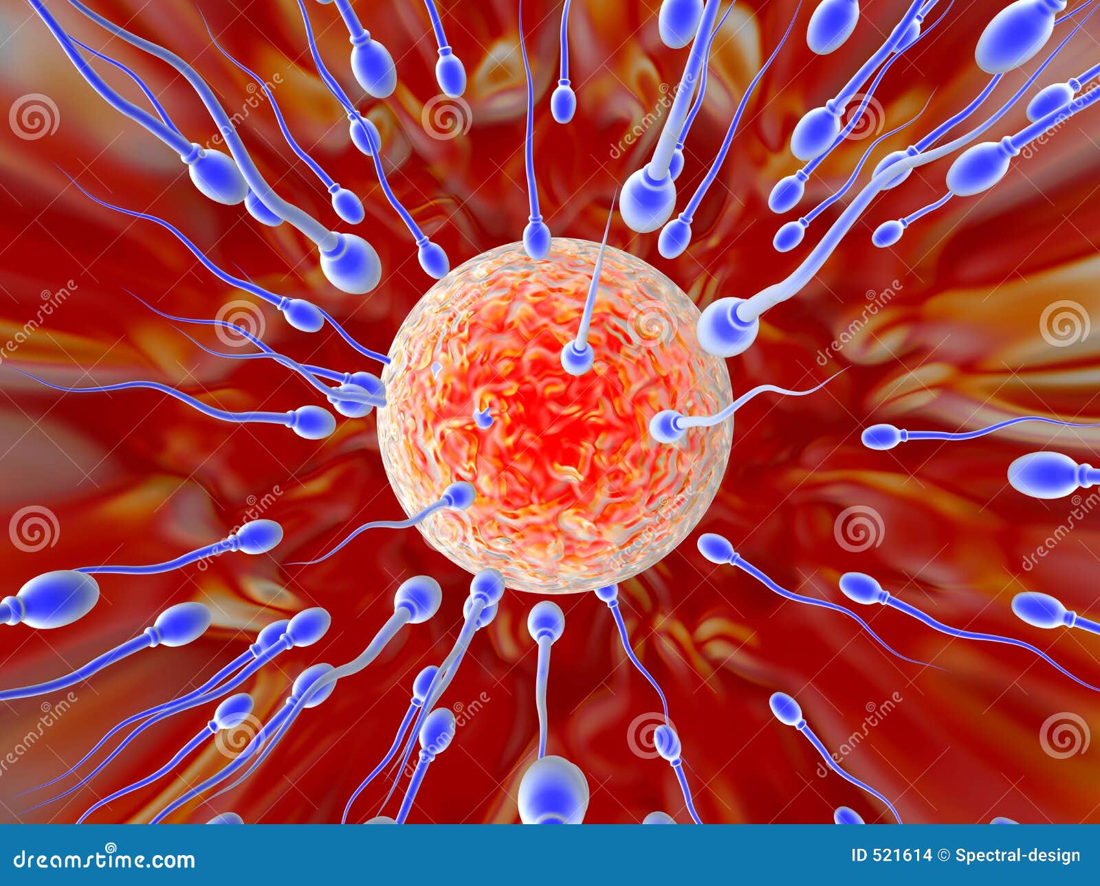 Sperm Attack 5 stock illustration. Illustration of baby - 521614