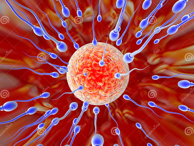 Sperm Attack 5 stock illustration. Illustration of baby - 521614