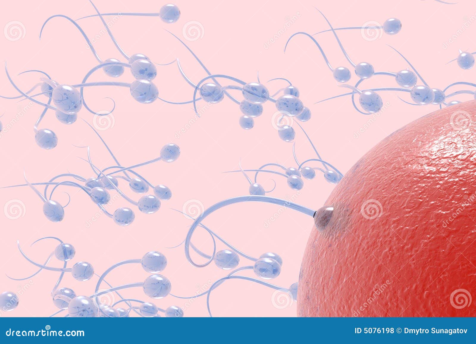Sperm Attack stock illustration. Illustration of individual - 5076198