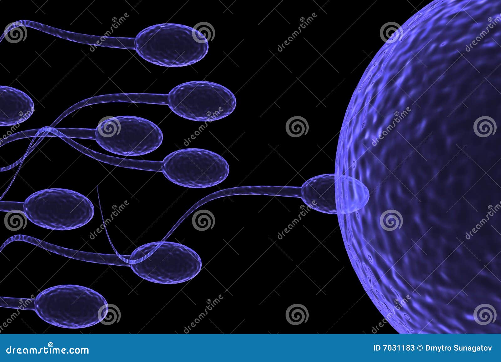 Sperm Attack stock illustration. Illustration of group - 7031183