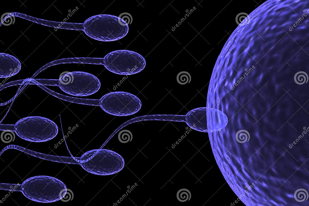 Sperm Attack stock illustration. Illustration of group - 7031183