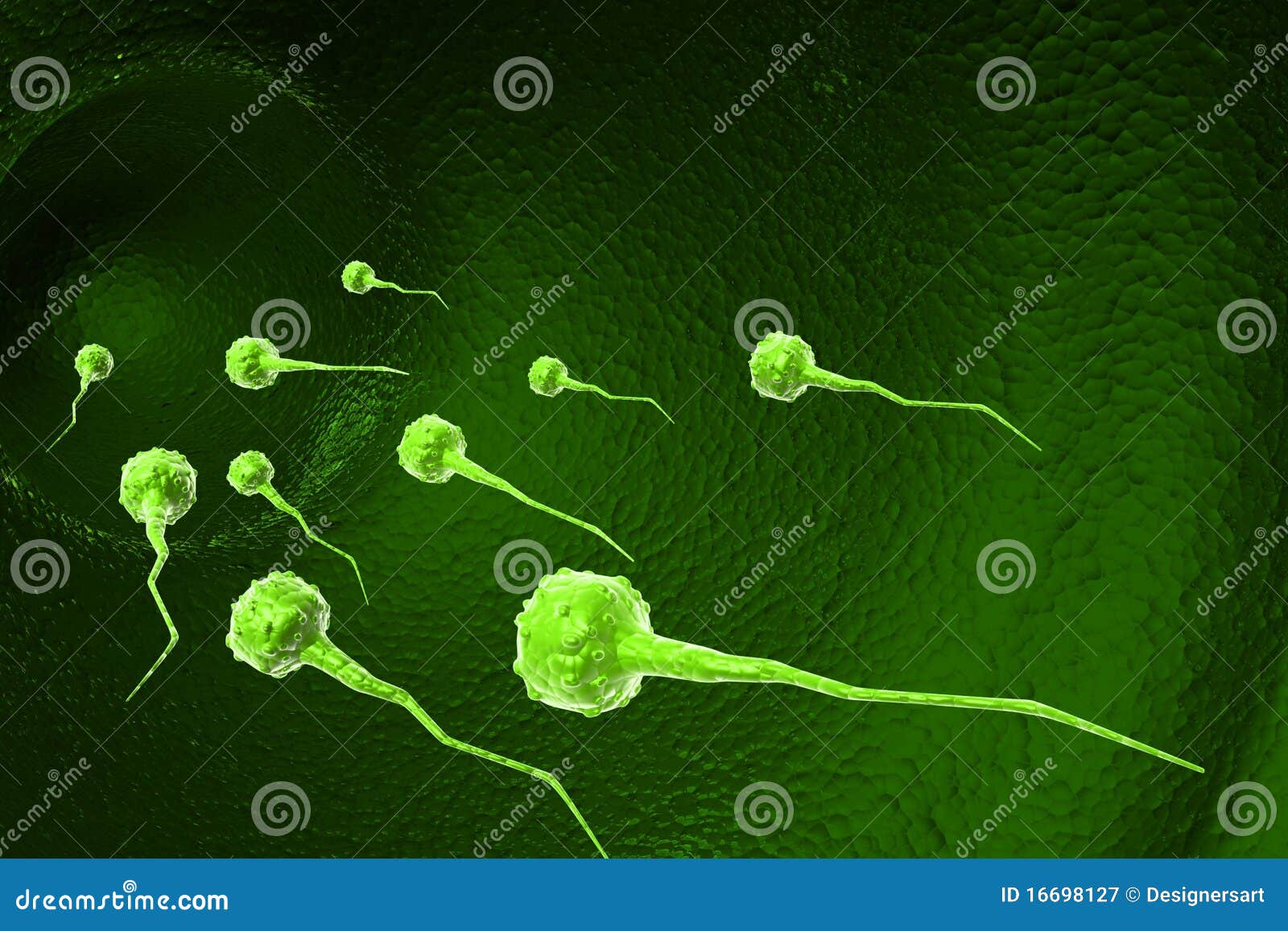 Sperm cells stock illustration. Illustration of life - 16698127