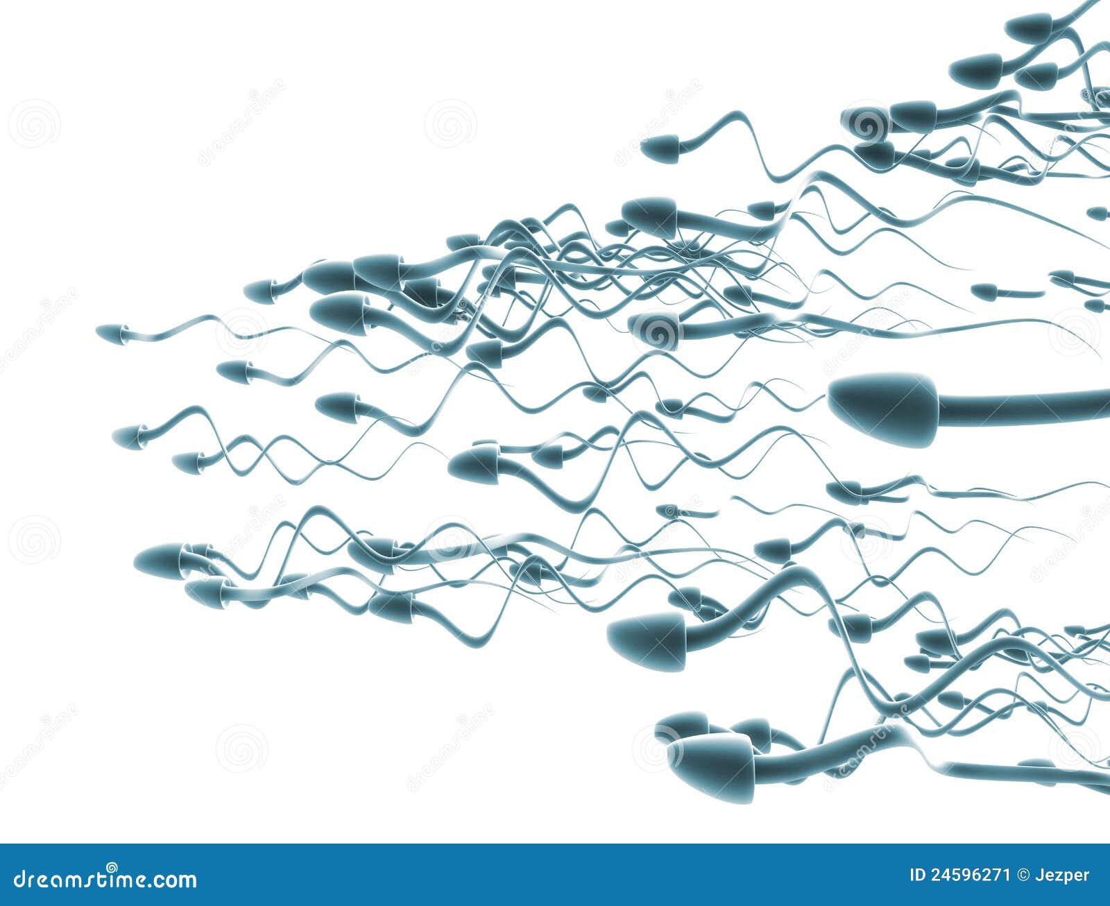 Sperm cells stock illustration. Illustration of health - 24596271