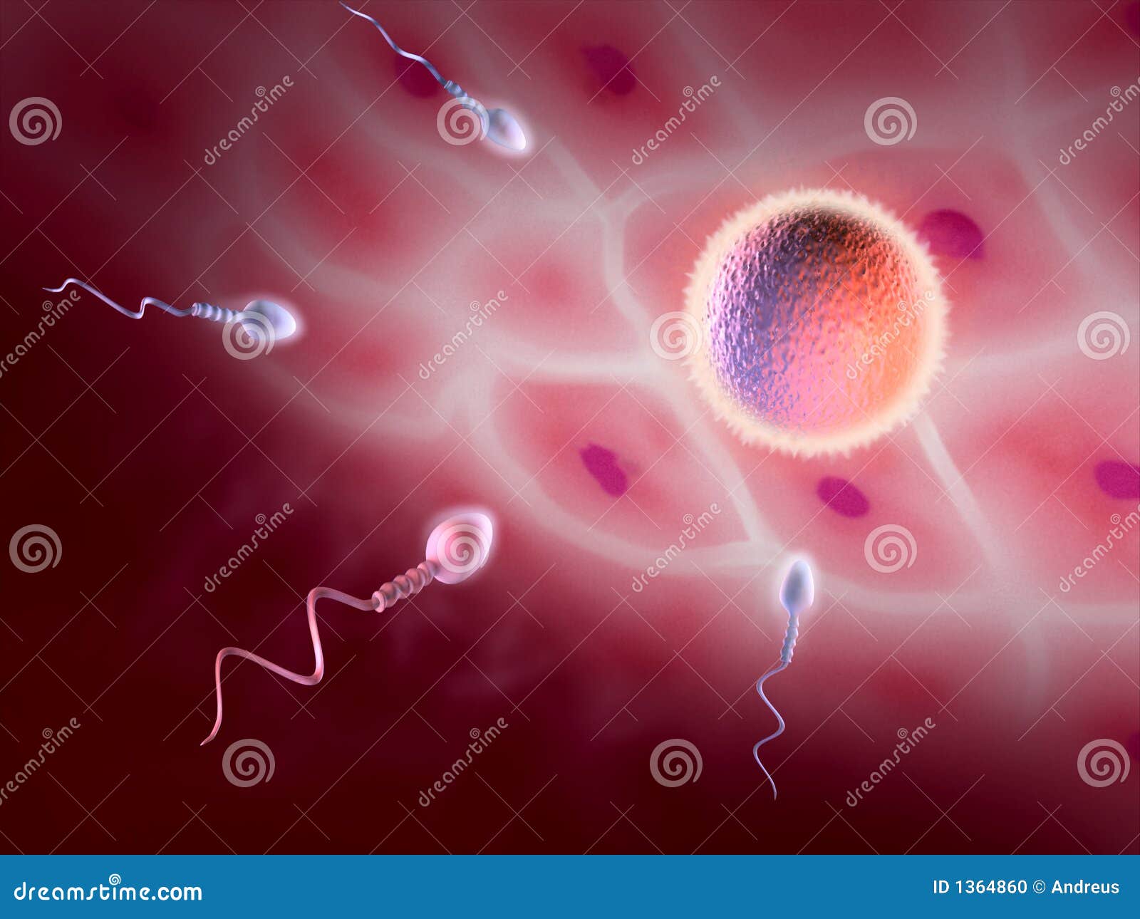 Ovule Cartoons, Illustrations & Vector Stock Images - 2087 Pictures to ...