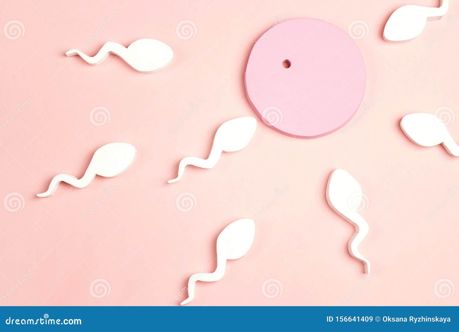 Sperm Cells Moving Towards the Egg Stock Image - Image of baby, biology ...