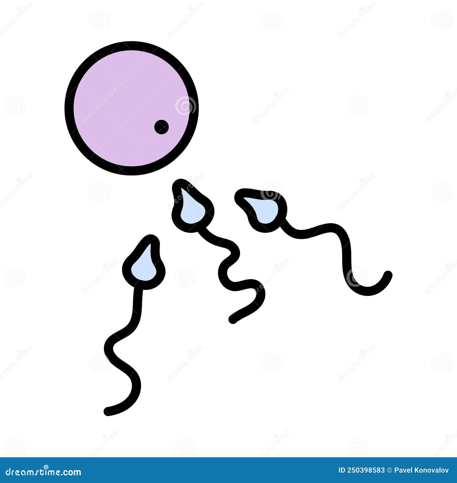 Sperm And Egg Cell Icon Stock Vector Illustration Of Penetration
