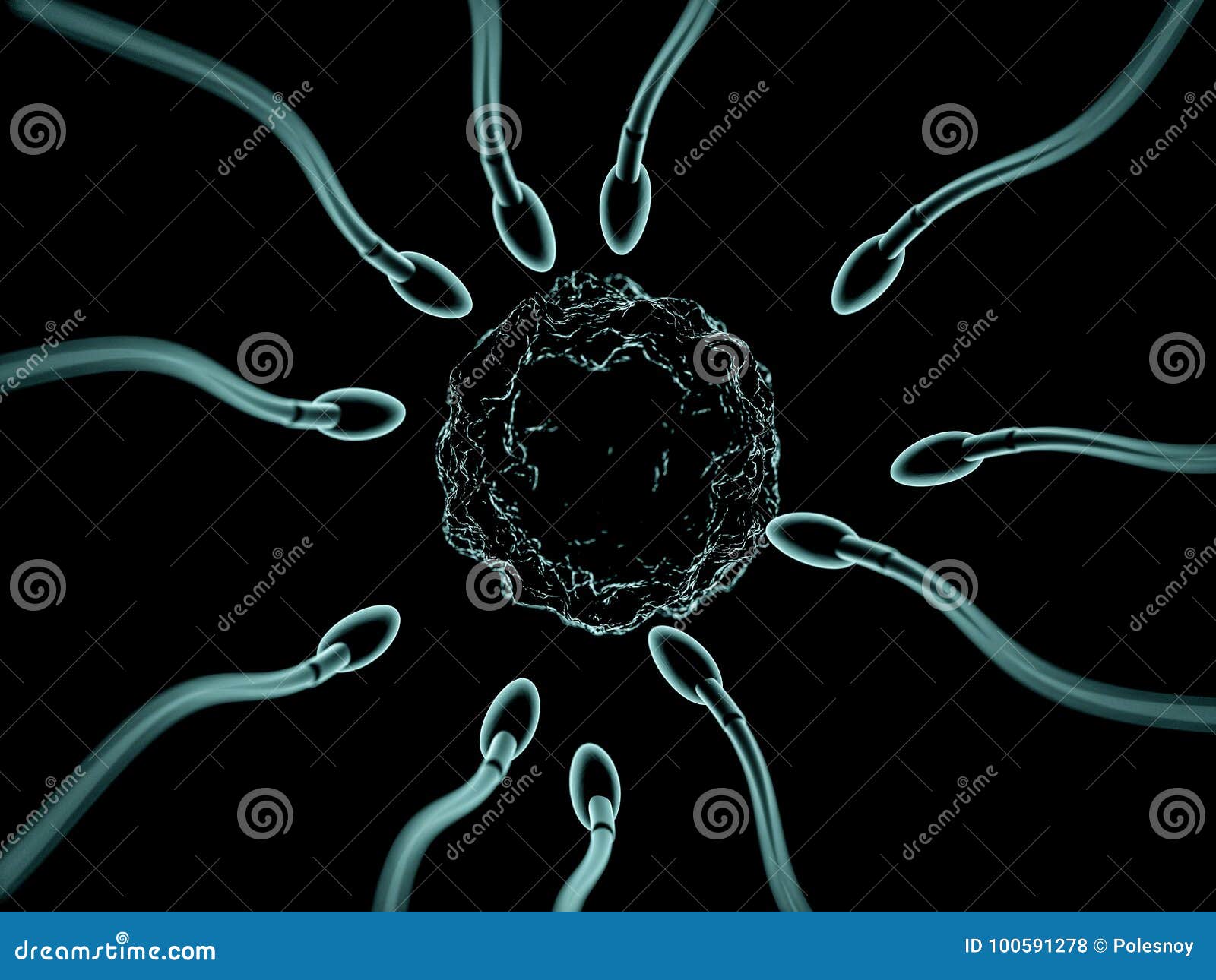 Sperm and Egg Cell Microscopic View. 3D Stock Illustration ...