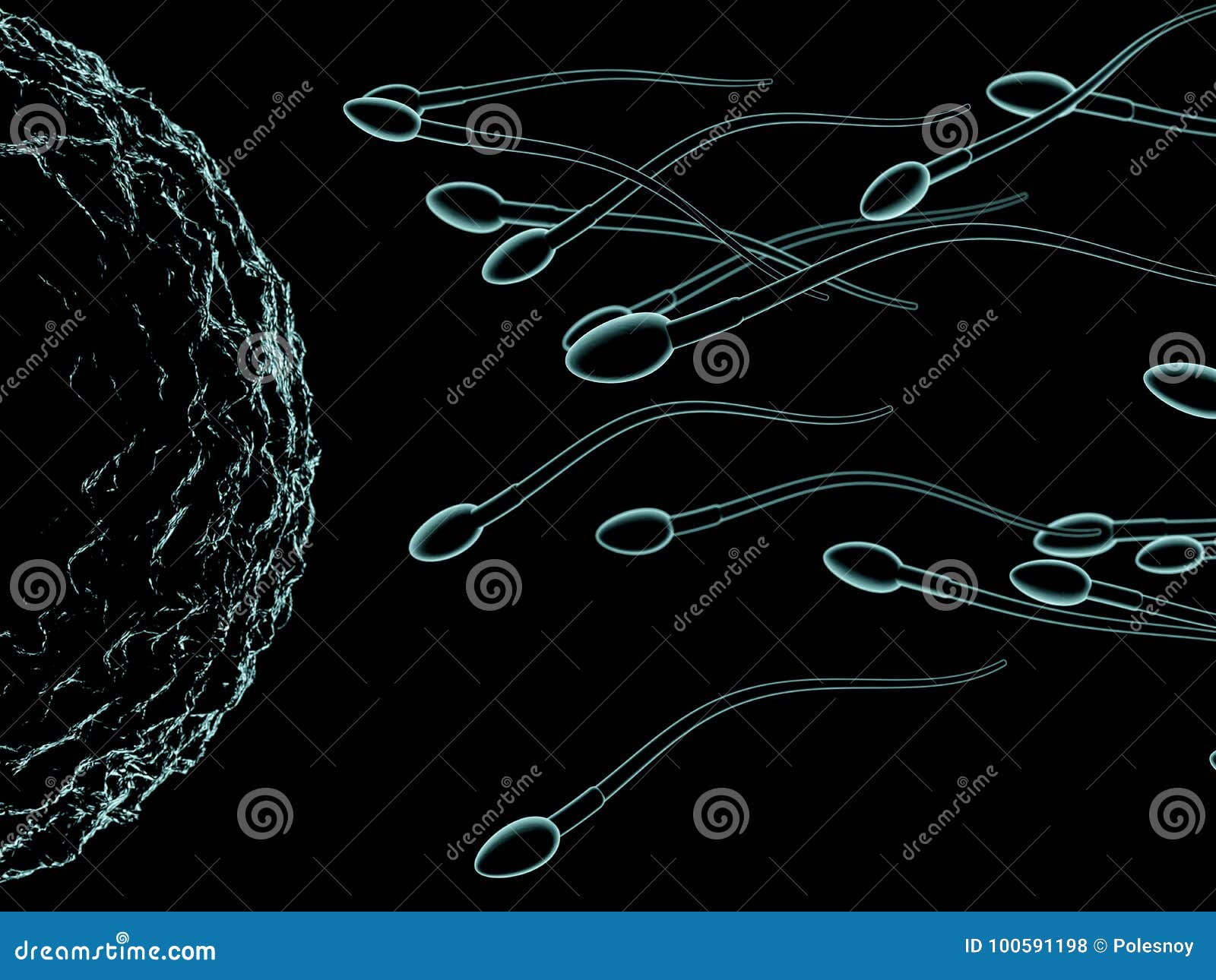 Sperm and Egg Cell Microscopic View. 3D Stock Illustration ...