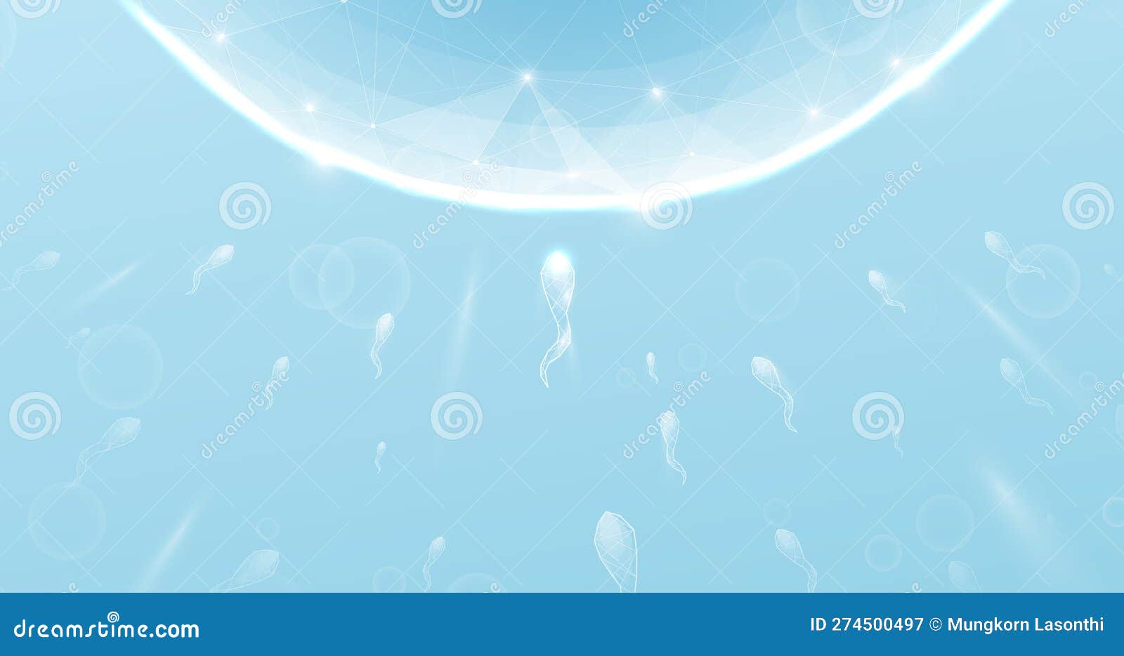 Sperm and Egg Cells. Natural Fertilization. Low Polygons, Triangles ...