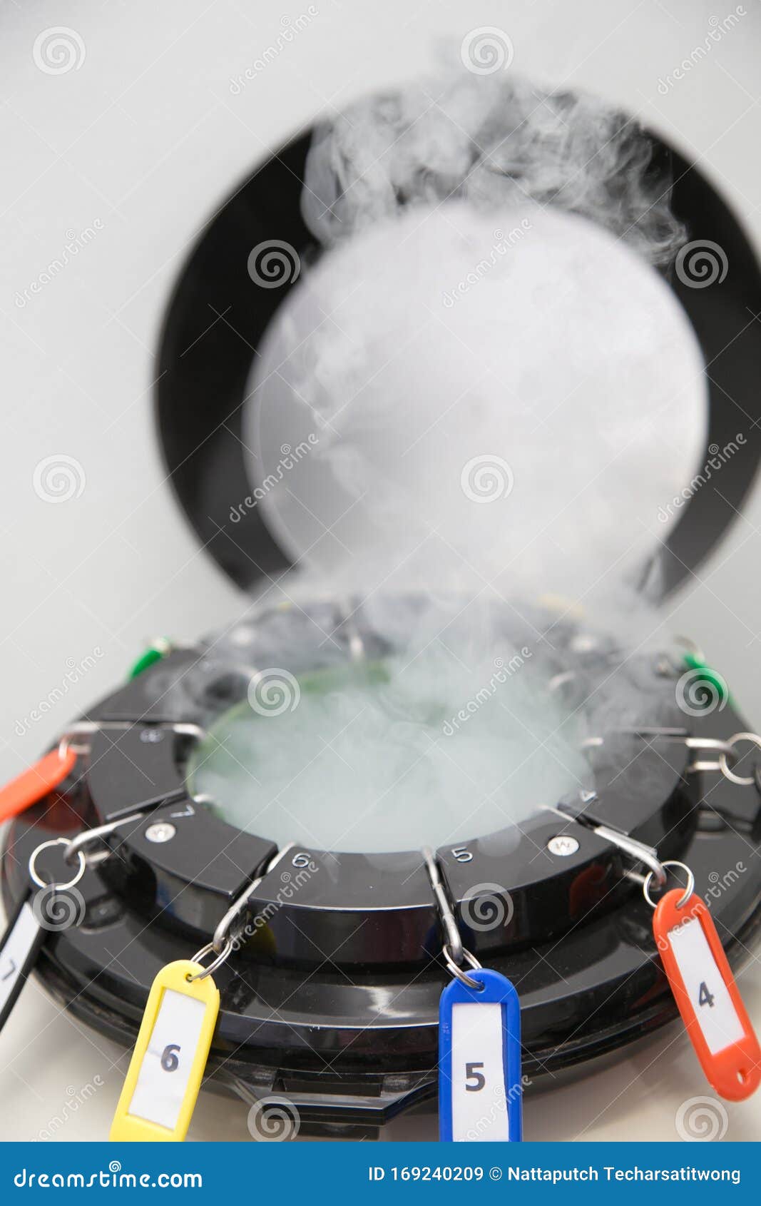 Sperm Freezing Storage in Liquid Nitrogen Tank, Laboratory Infertility ...