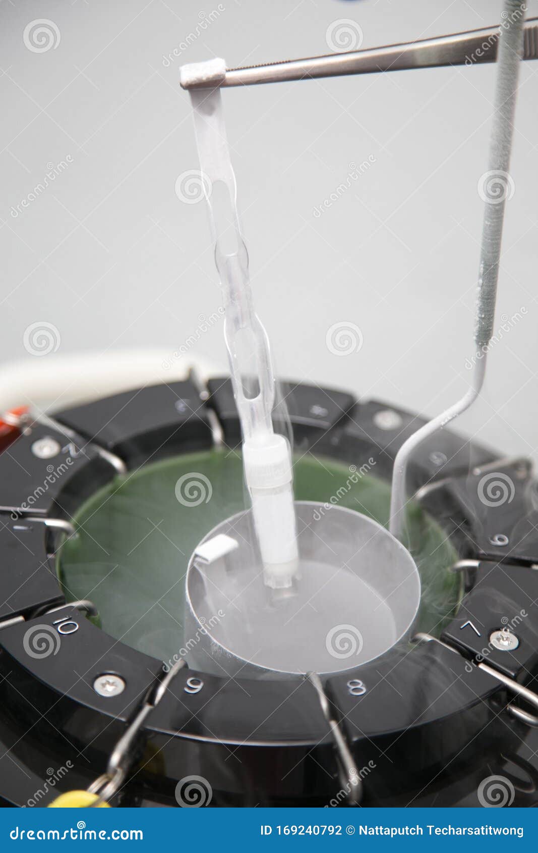 Liquid Nitrogen Tank Cell Storage