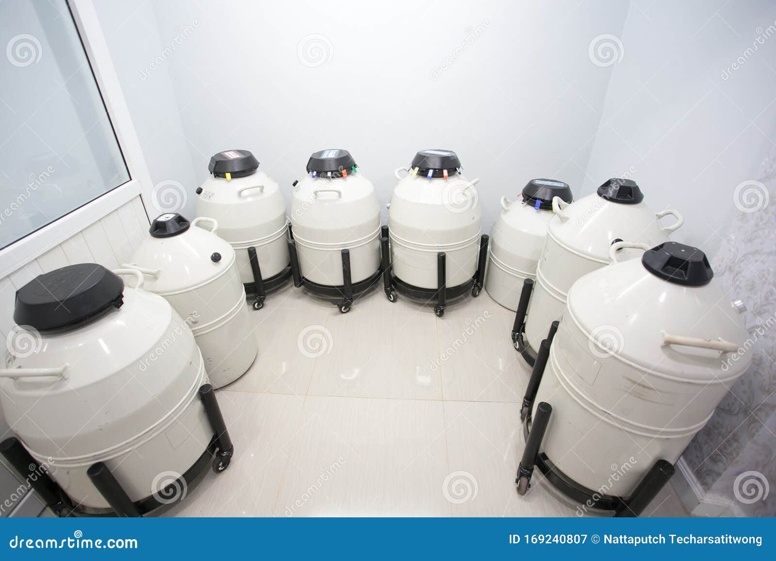 Sperm Freezing Storage in Liquid Nitrogen Tank, Laboratory Infertility ...