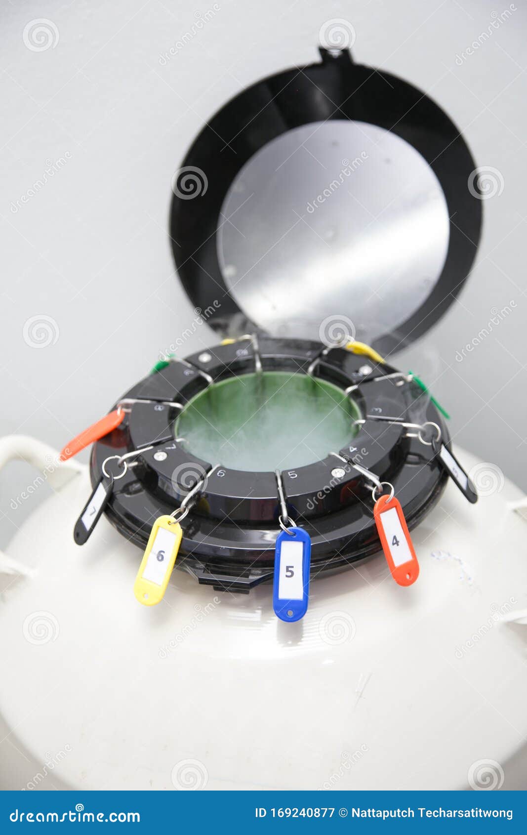 Sperm Freezing Storage in Liquid Nitrogen Tank, Laboratory Infertility ...