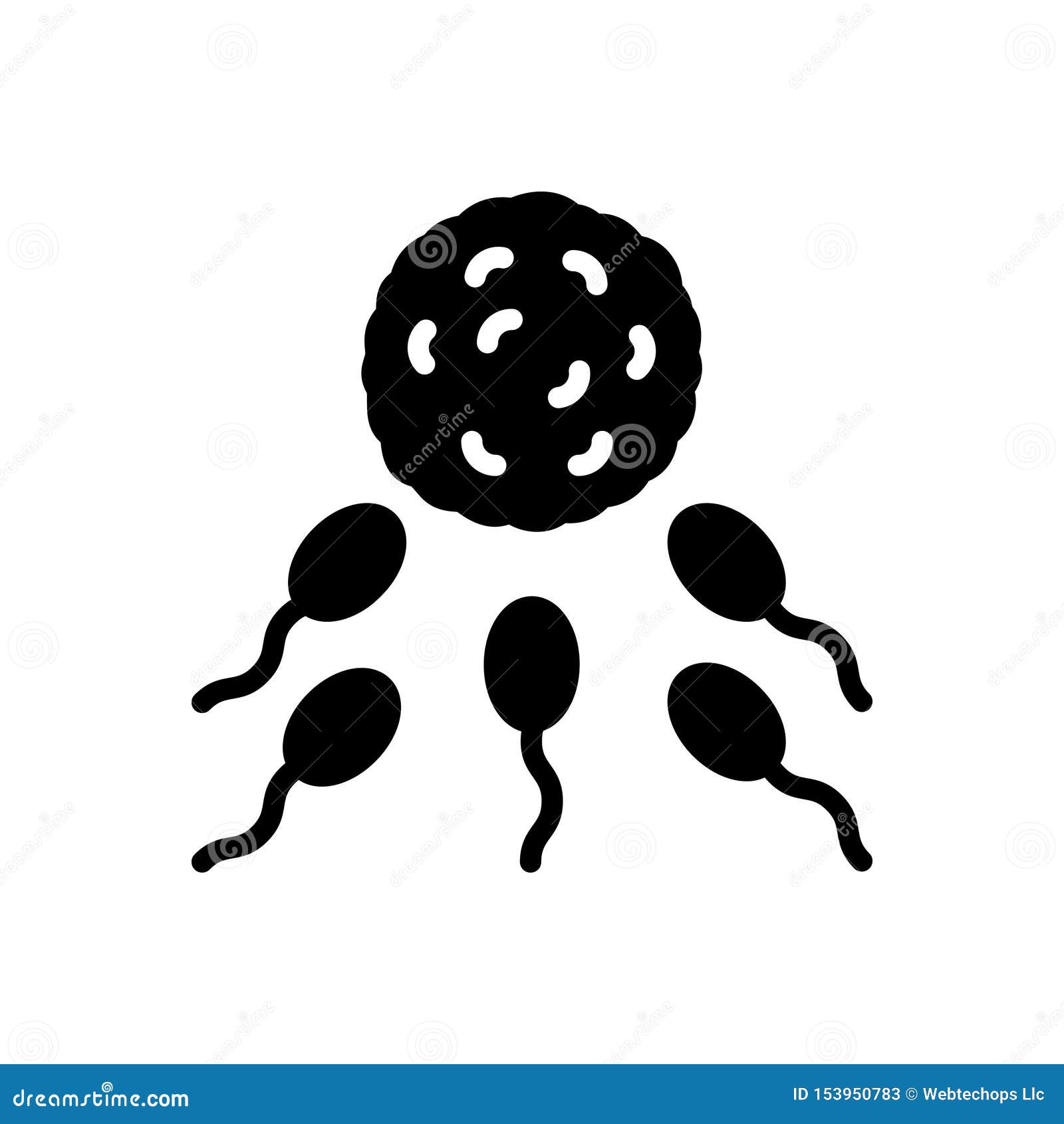 Male Reproduction System Cartoon Vector | CartoonDealer.com #8666381