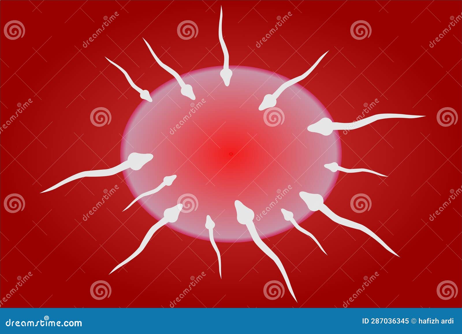 Sperm illustration vector stock vector. Illustration of graphic - 287036345