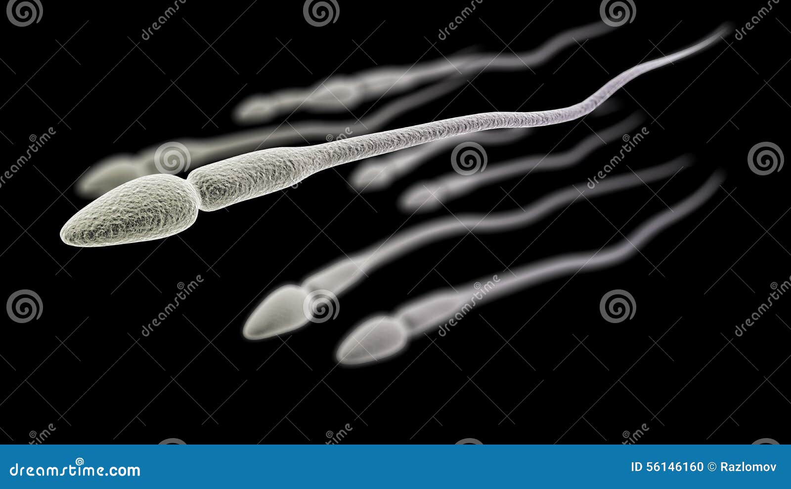 Single Sperm Microscope