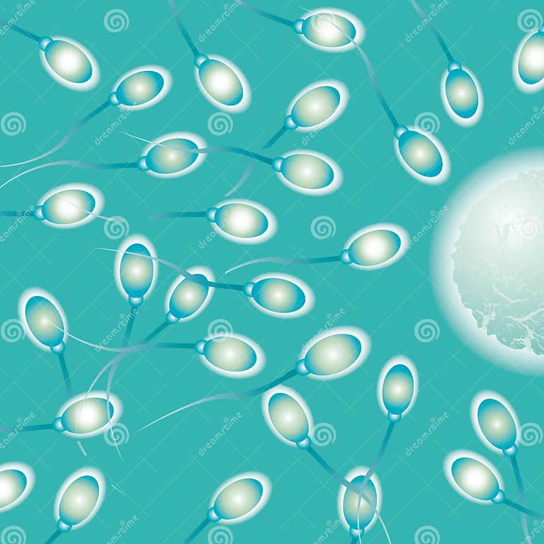 Sperm medical stock vector. Illustration of pregnancy - 5041916