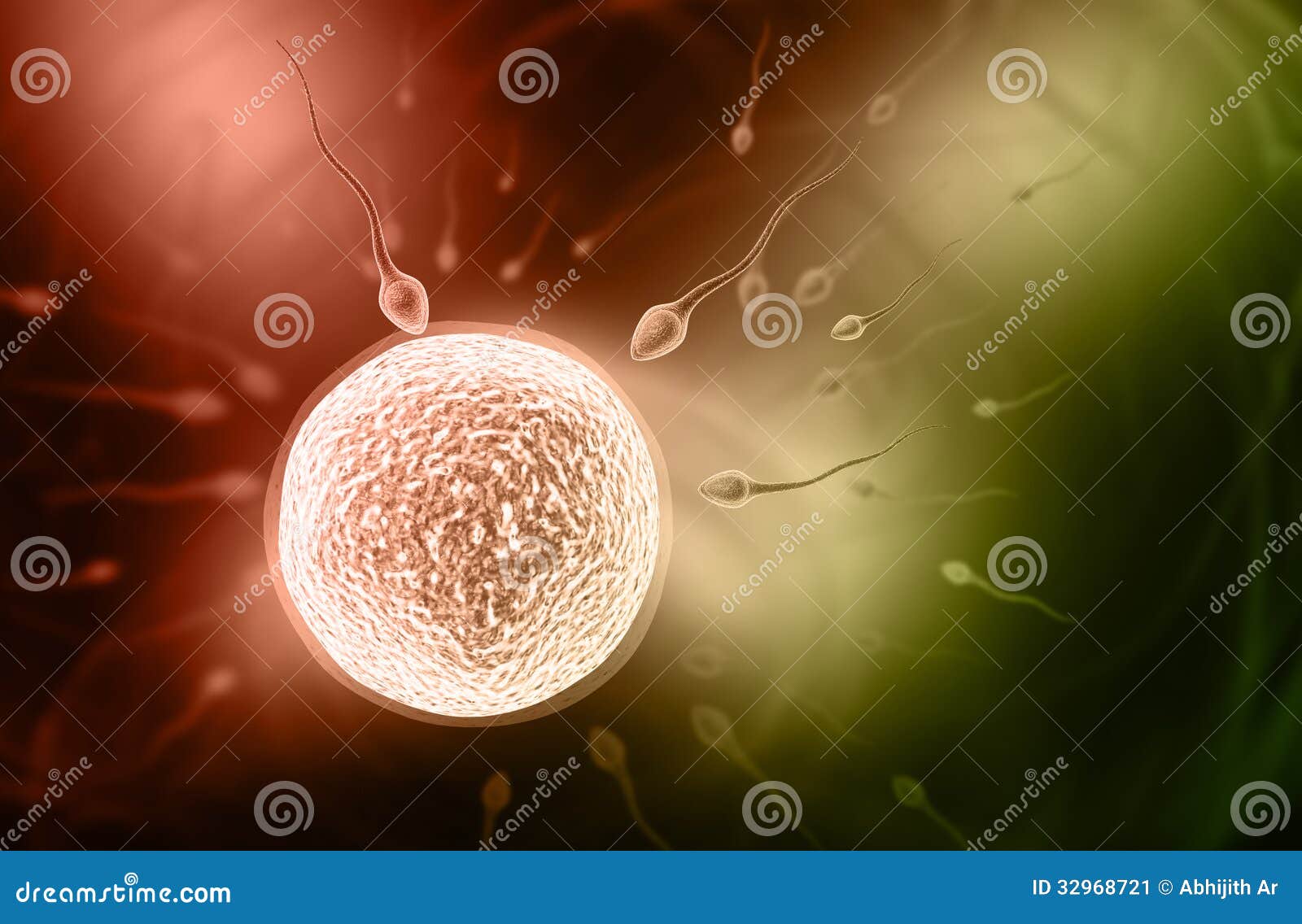 Ovule Cartoons, Illustrations & Vector Stock Images - 2087 Pictures to ...