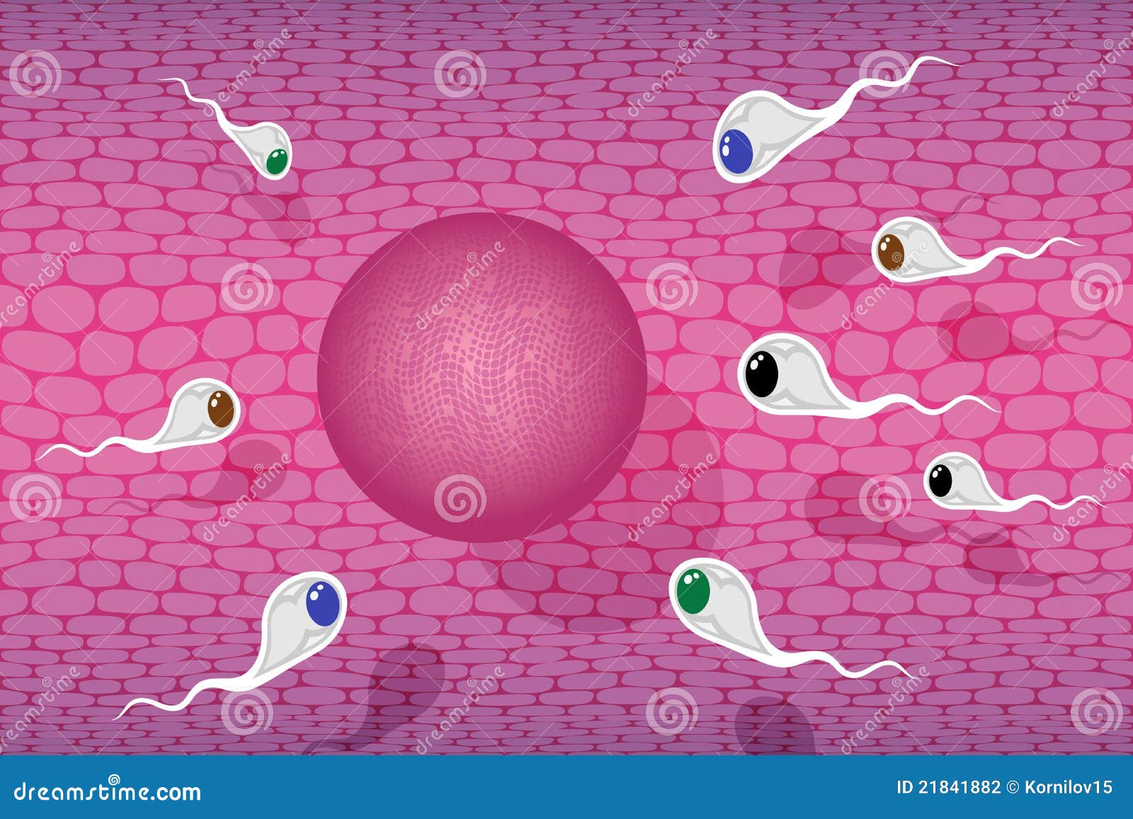 Sperm race stock vector. Illustration of human, medical - 21841882