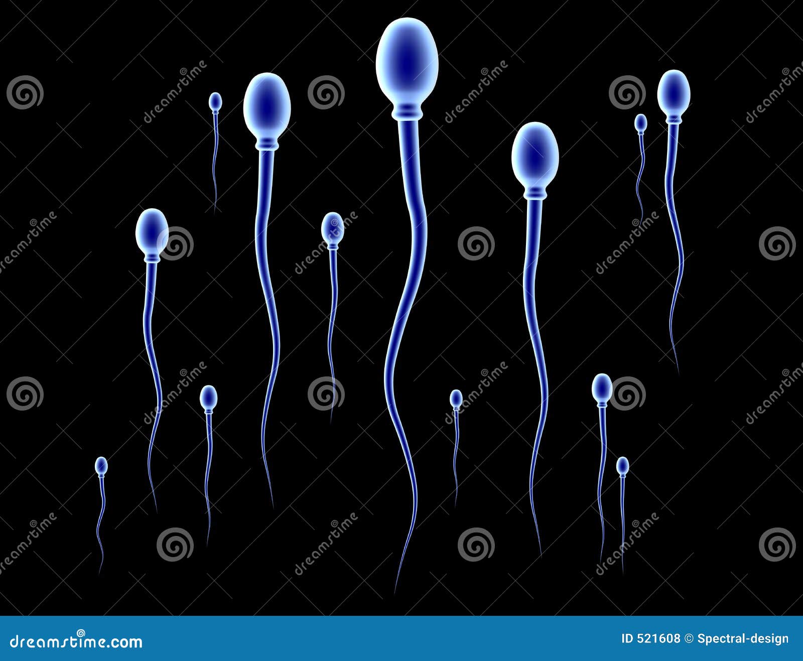 Sperm Race stock illustration. Illustration of motherhood - 521608