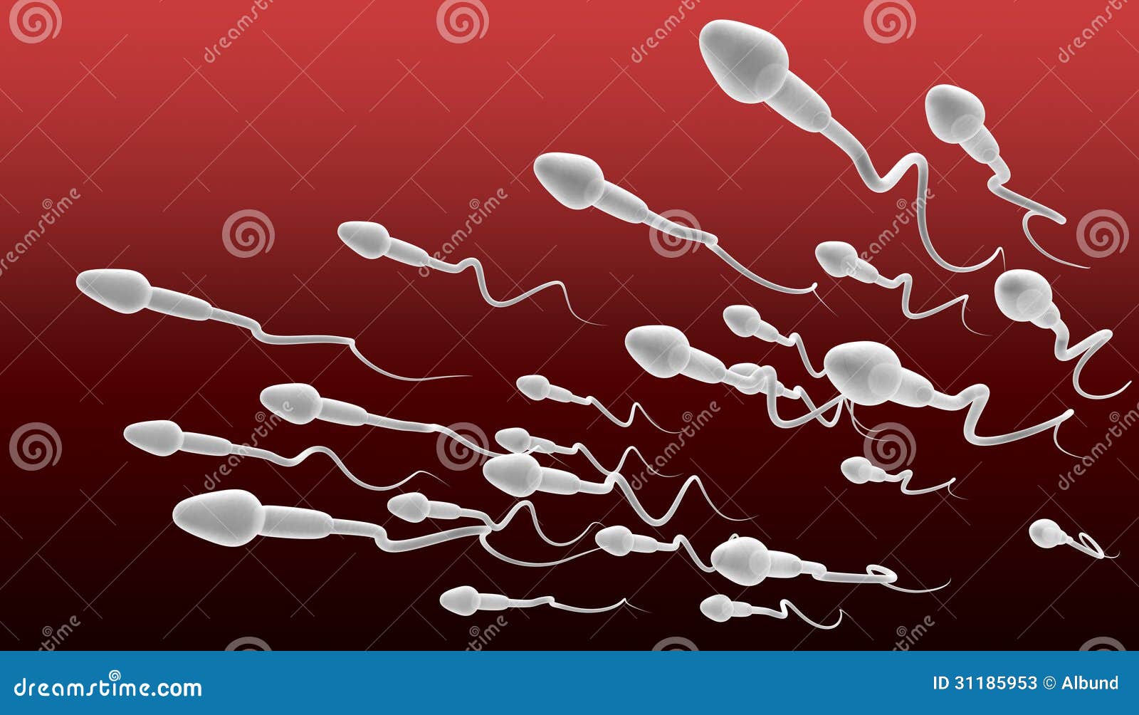 Sperm Swimming Perspective stock illustration. Illustration of cells ...
