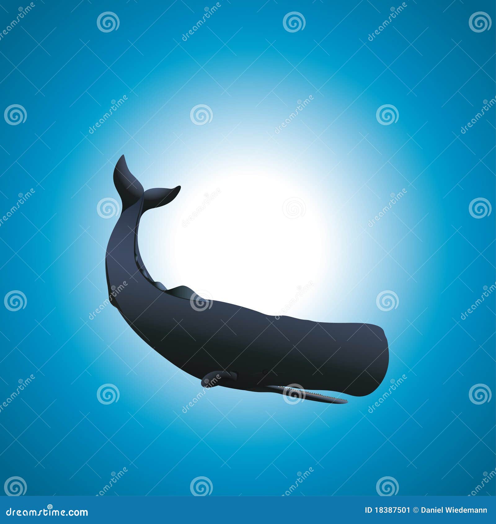 Sperm Whale Seamless Pattern. Colorful Whale Background. Great ...