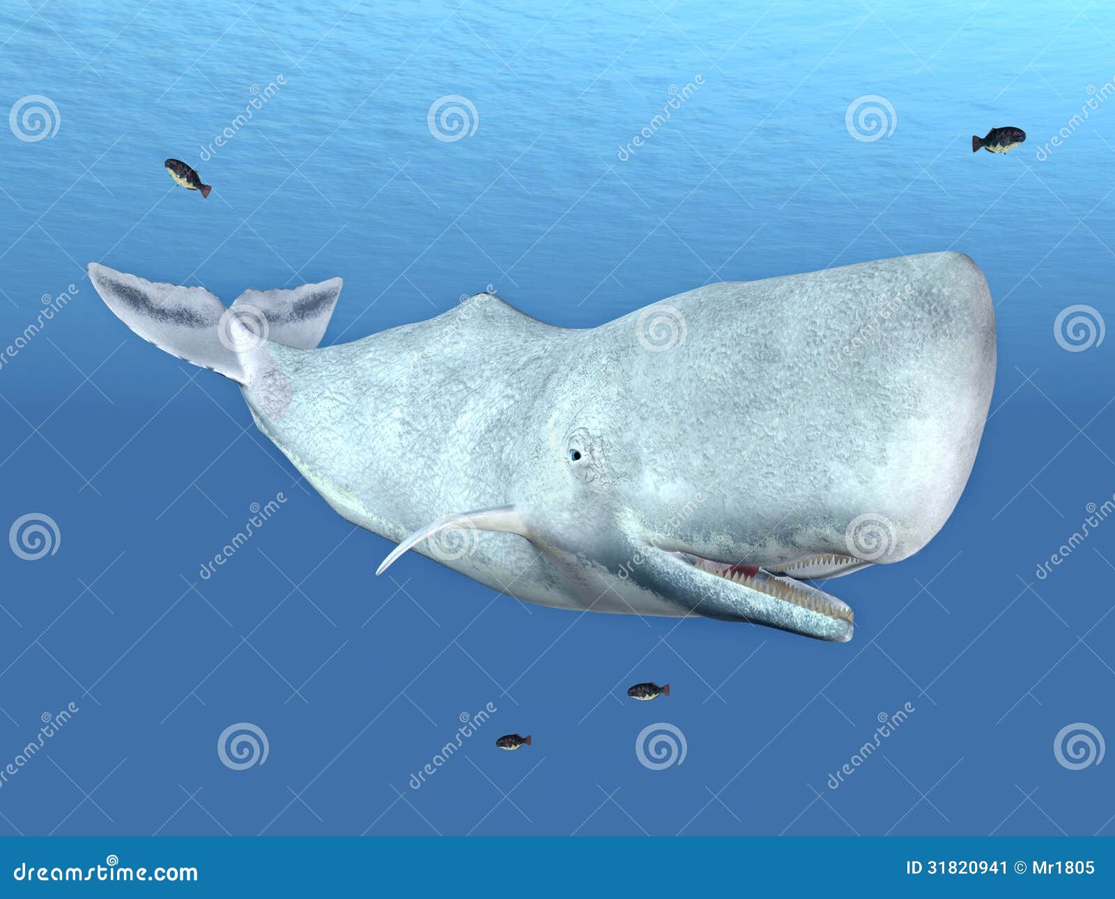 Sperm Whale Illustration, Drawing, Engraving, Ink, Line Art, Vector ...